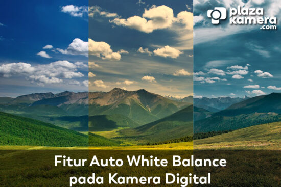 Fitur Auto White Balance pada Kamera Digital